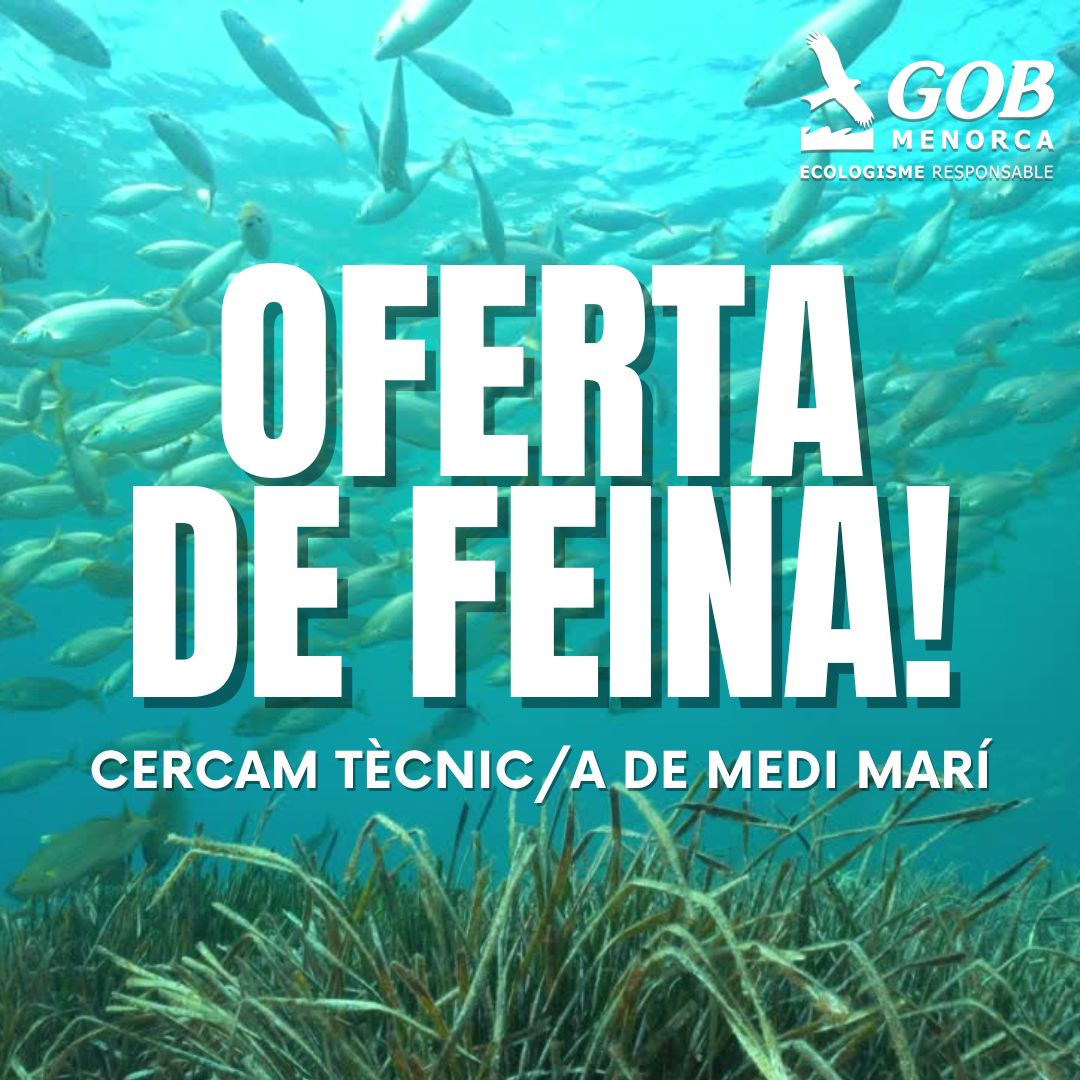 Oferta de treball de Medi marí – GOB Menorca